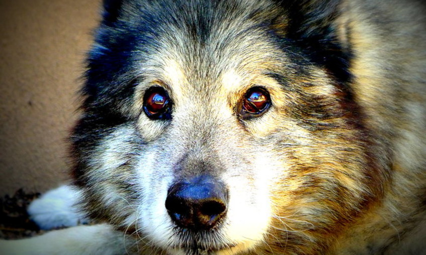 Intro to Easel | Inventables